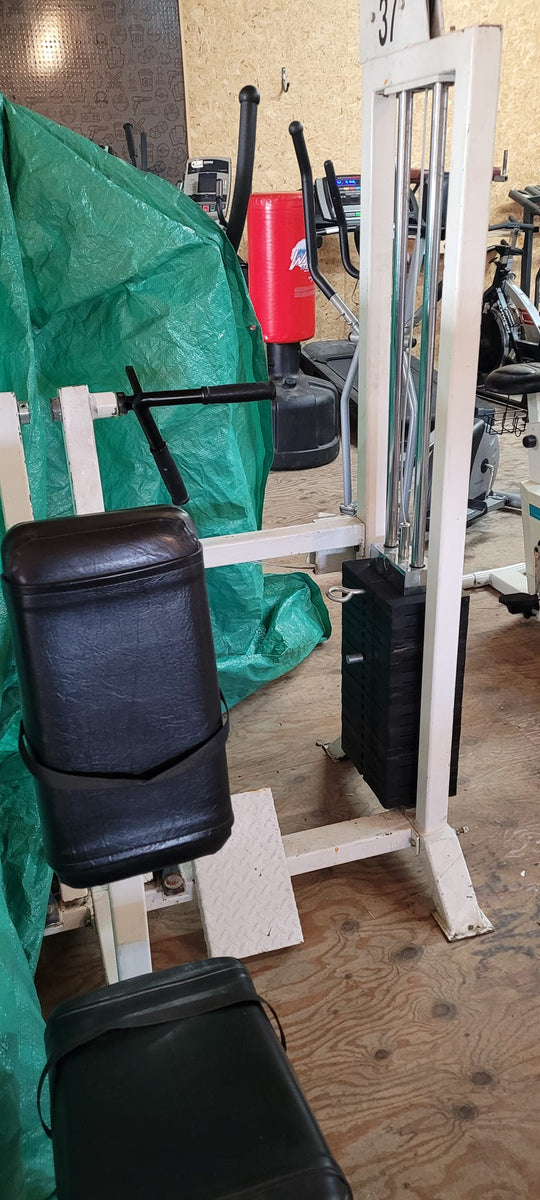 machine a dos commercial – Nutrition Sports Fitness val-d'or